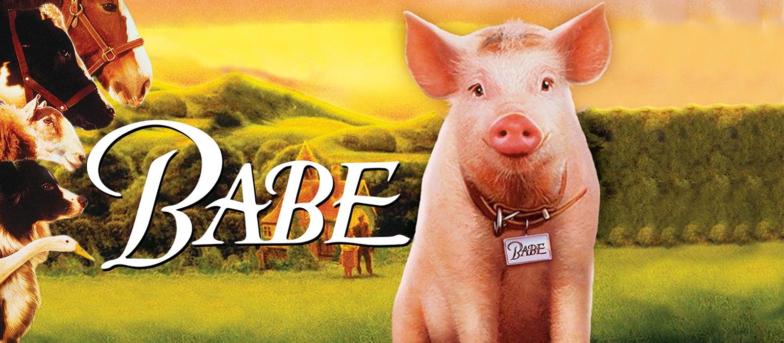 Babe Movie Poster